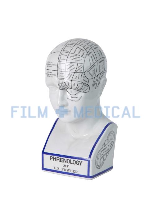 Phrenology Head | FILM MEDICAL